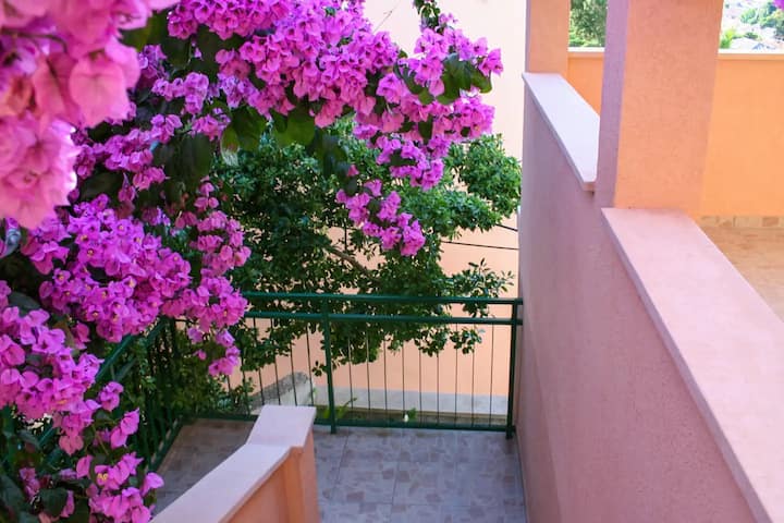 Family Retreat Apartment With Sea View – "Zorya" - Mali Lošinj