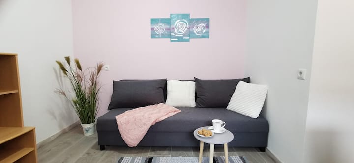 Apartment Luna | Center + Free Parking - Brda