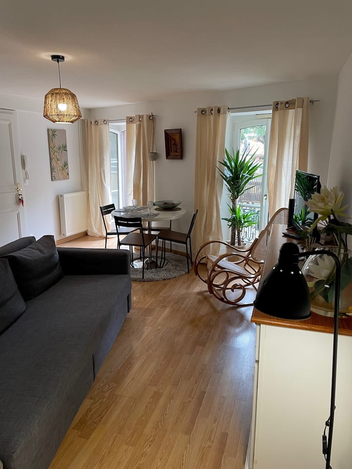Colmar Centre Gite Rénové 4 Personnes - Terrasse - Colmar