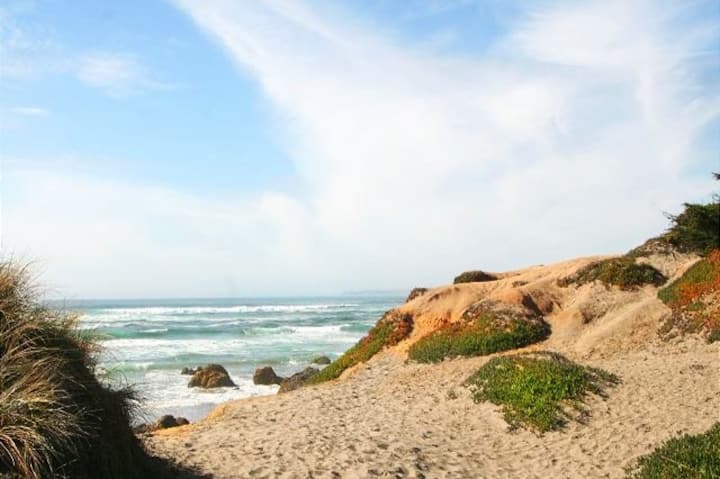 Bodegabreeze: Fun Home+studio!family Friendly-httb - Wrights Beach, CA