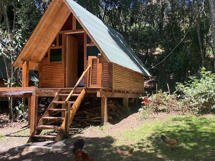 Glamping Entre Bosque Nativo - Copacabana 