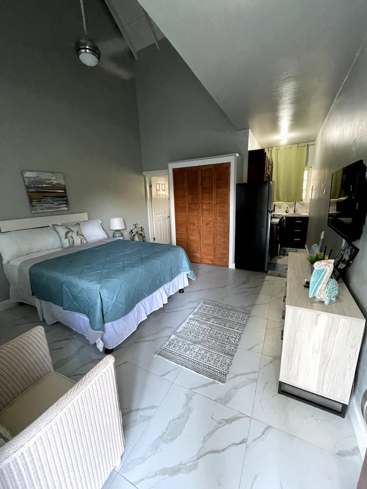 303 Charles - Alluring Studio - Montego Bay