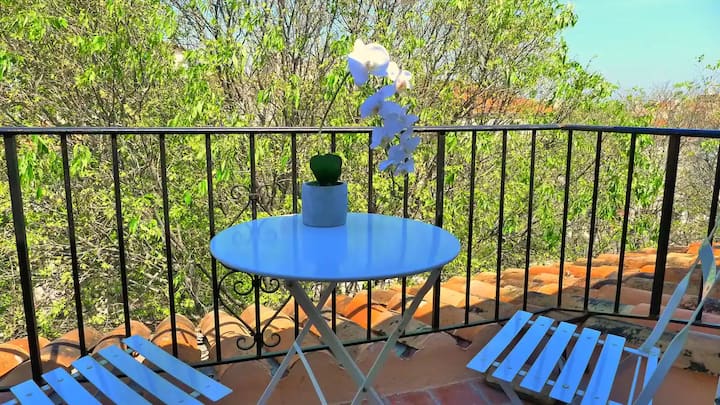 Appartement Perché Sur Les Toits Du Vieil Antibes - Antibes