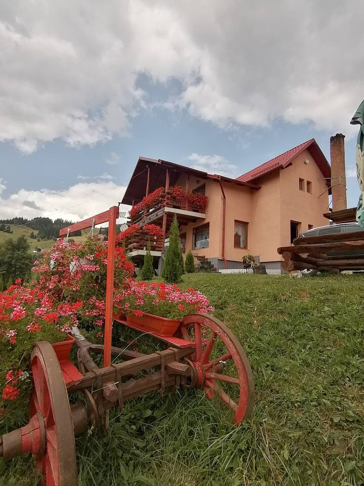 Cabana Gabriel Bucovina - Vatra Dornei