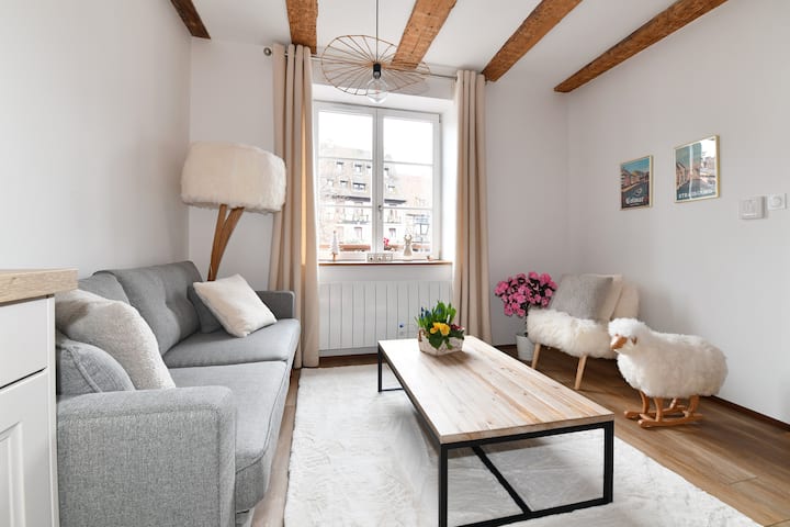 Dessine-moi Un Mouton !
4p-2br - Colmar