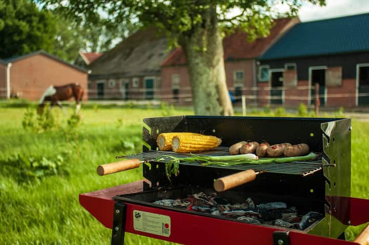 Groepsaccommodatie Op Natuurboerderij - 10 Pers. - Hoorn