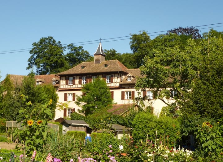 Magnifique Loft "Au Vert" - Strasbourg