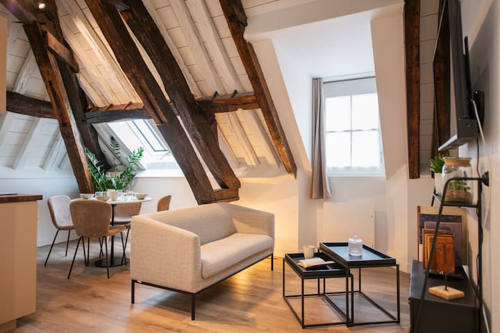 2 Chambres/ Calme - Le Comble - Le Laurencin Sens - Sens