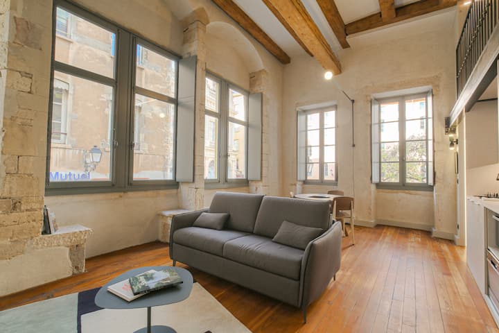 Duplex Lumineux Et Authentique, Vieux-lyon - Lyon