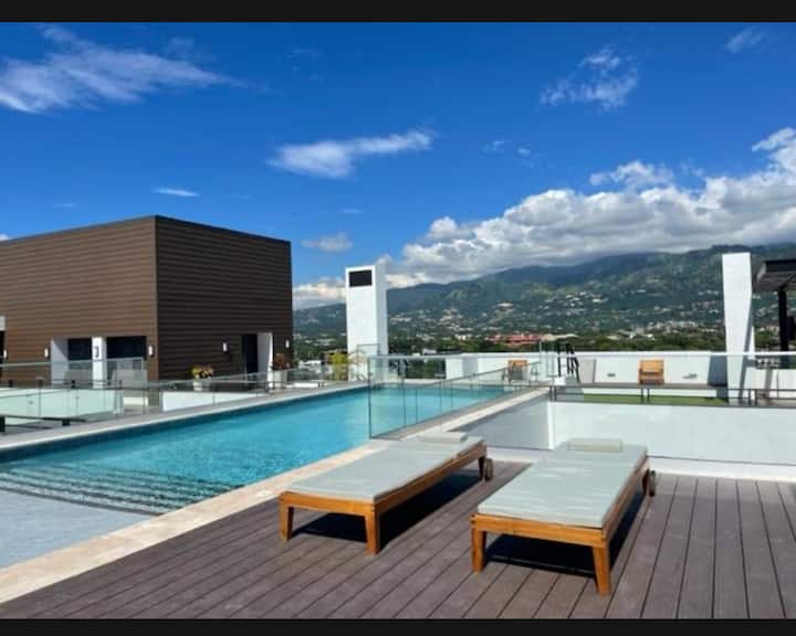 Serenity Suites - Kingston