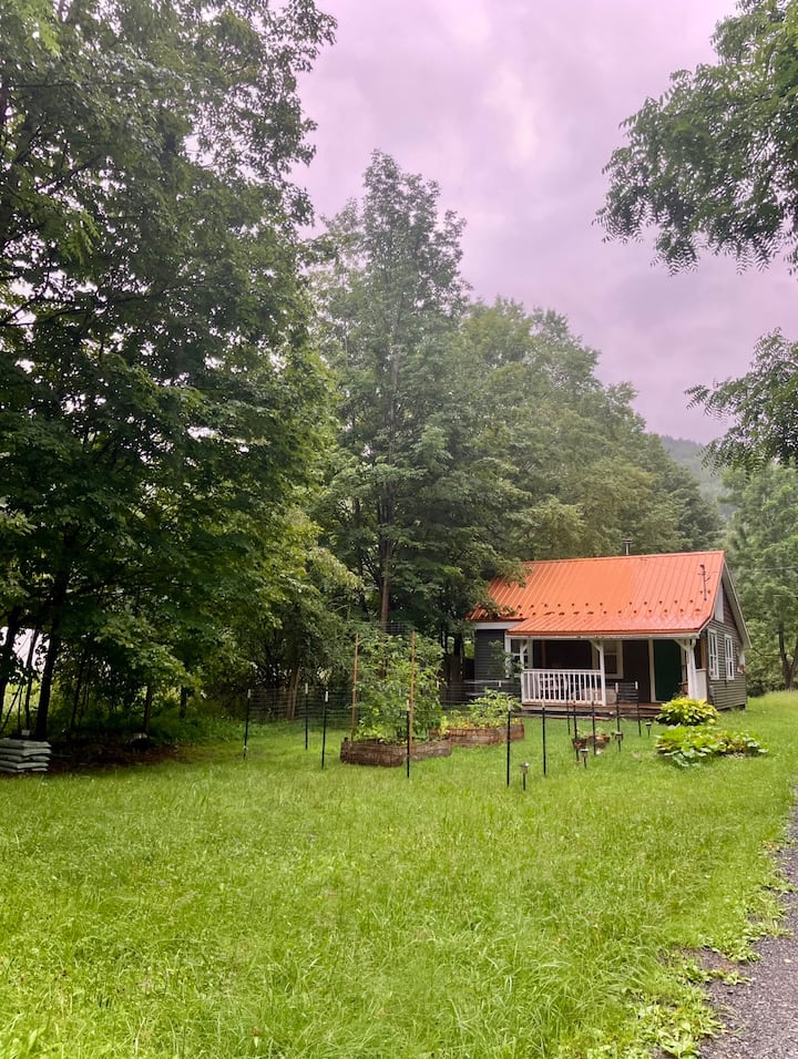 Grand Gorge Vacation Rentals & Homes - New York, United States | Airbnb