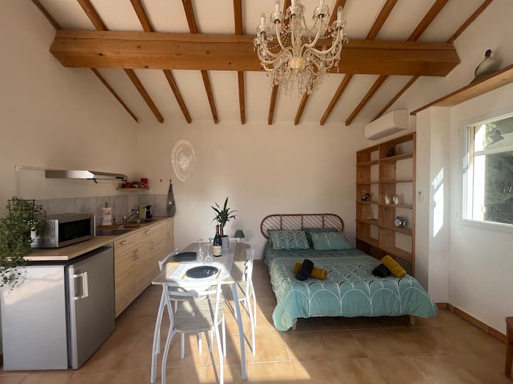 Studio*jardin*camargue - Camargue