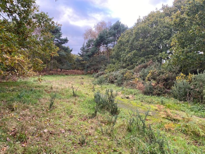 Magical Space Within An Aonb - Dunwich
