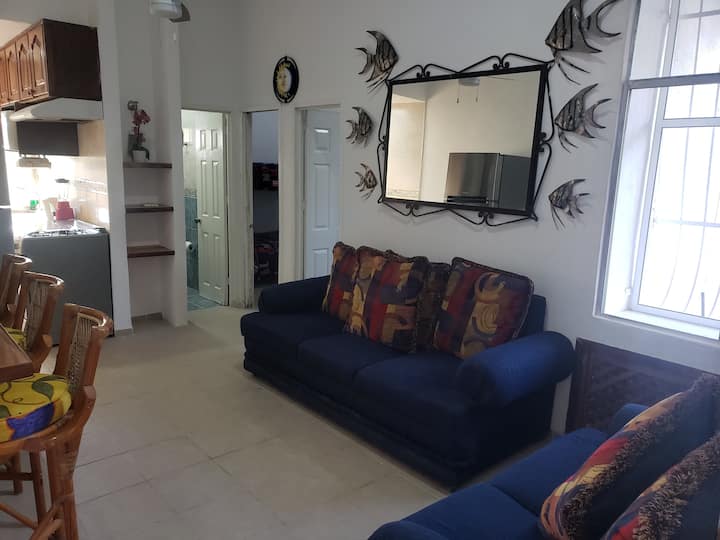 Depa Céntrico Cerca De Playa Y Centros Comerciales - Puerto Vallarta