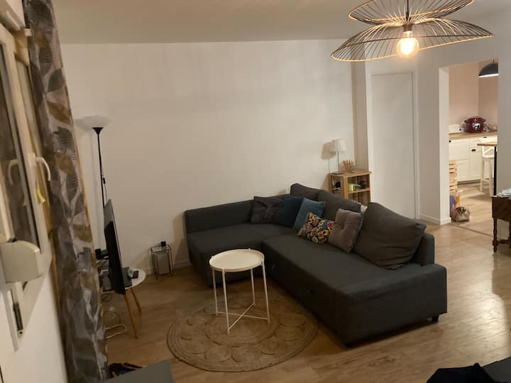 Appartement - Strasbourg