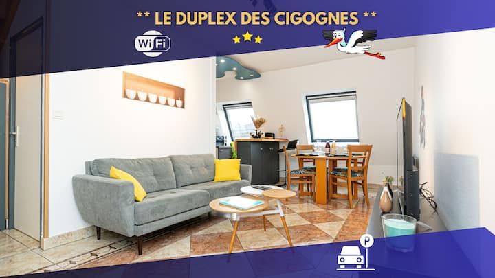 * * Le Duplex Des Cigognes * * - Strasbourg