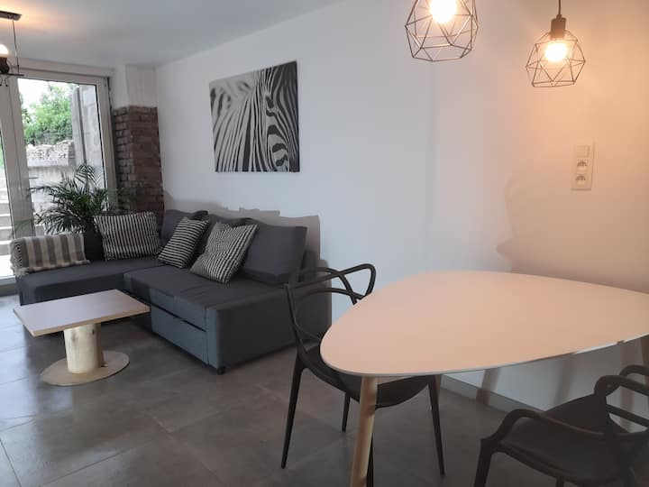 Appart 48 M2, 2lits Doubles, Accès Jardin - Charleroi