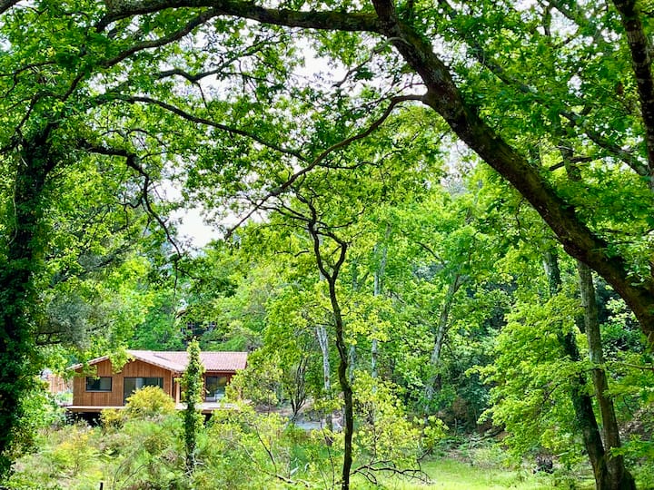 La Piqueyrotte Des Amis - Hourtin