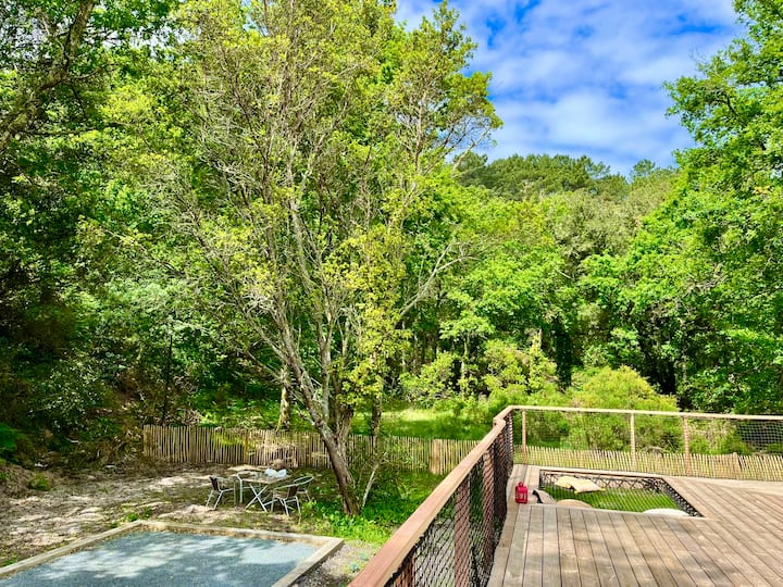 La Piqueyrotte Des Amis - Hourtin