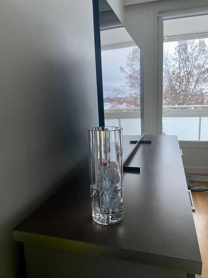 Huttunen 3 - Ihqu Kolmio Loistavalla Sijainnilla! - Iisalmi