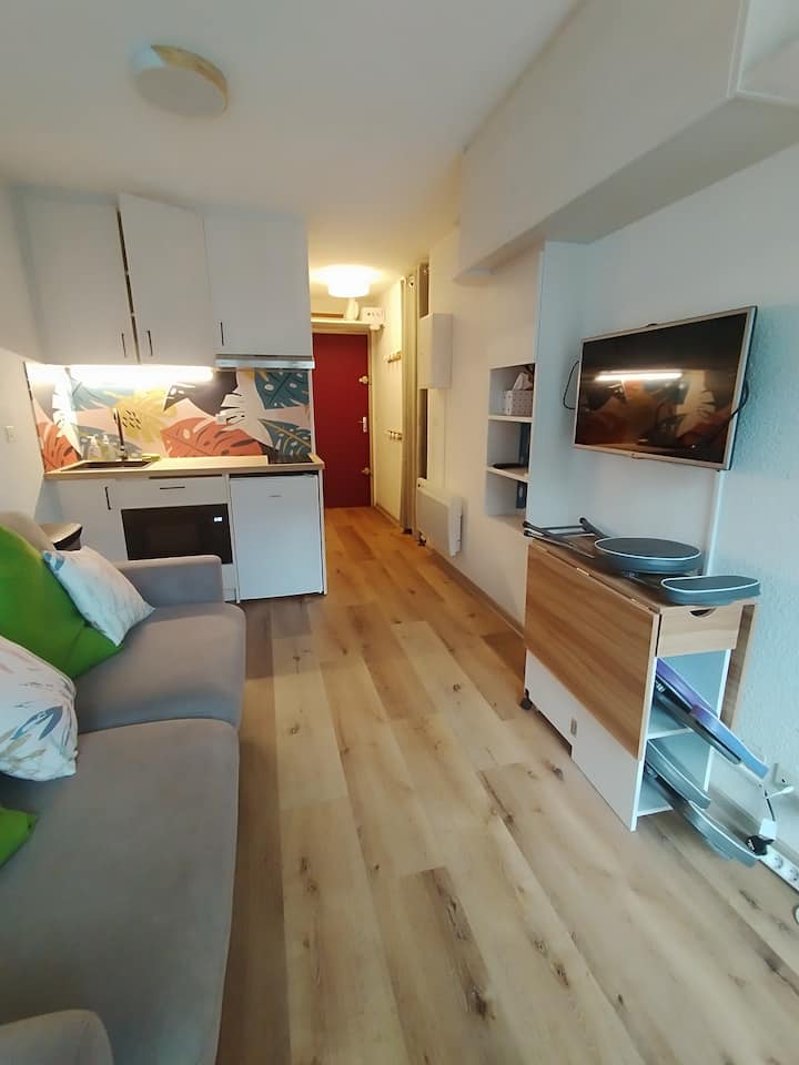 Charmant Petit Studio - Ugine