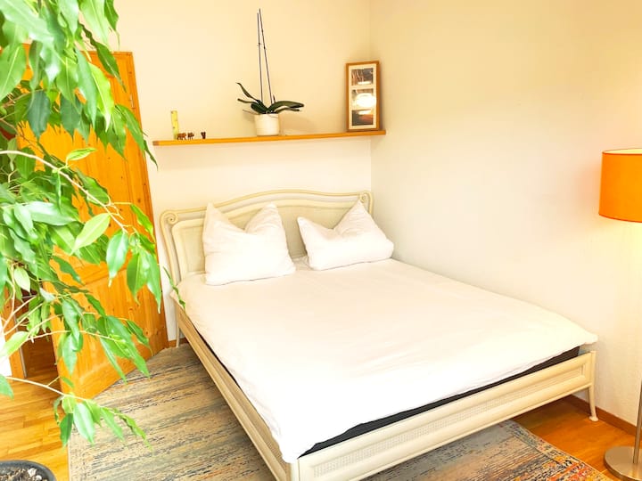 Sonniges Apartment (Ohne Küche) - Nürnberg