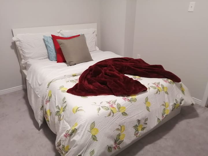 Charming1bedroom3oshawa_nearuoit - Oshawa