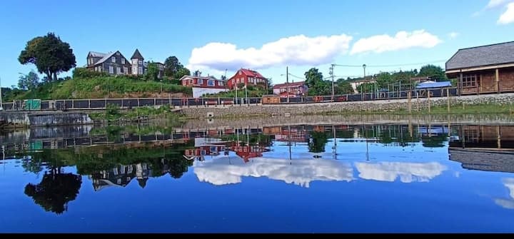 Cabaña Vive Octay - Puerto Octay