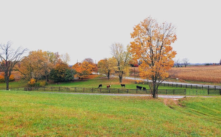 The Villa • A Peaceful, Autumn Countryside Getaway - Pennsylvania
