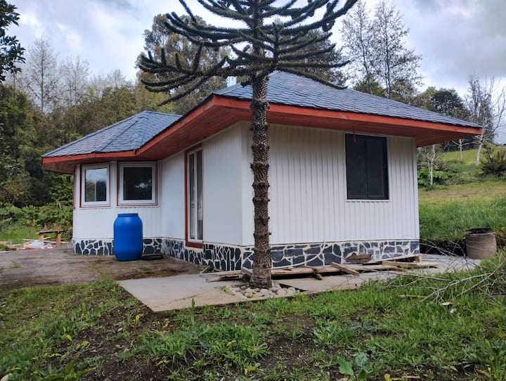 Neues Strandhaus Am See Im Privatpark - Lago Ranco