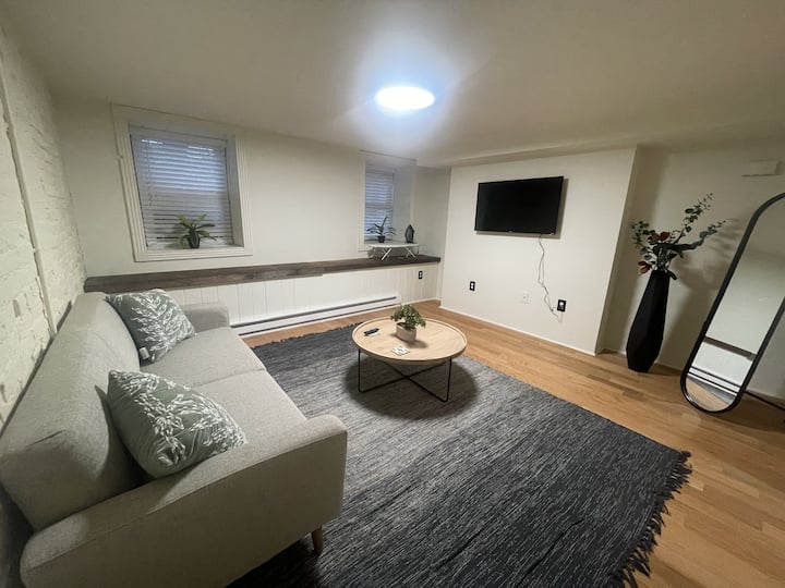 Contemporary & New Basement Unit - Troy, NY