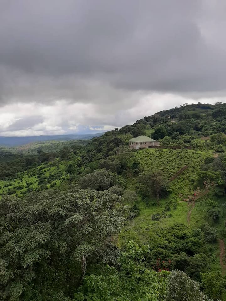 Bel Appartement Confortable. - Guinea
