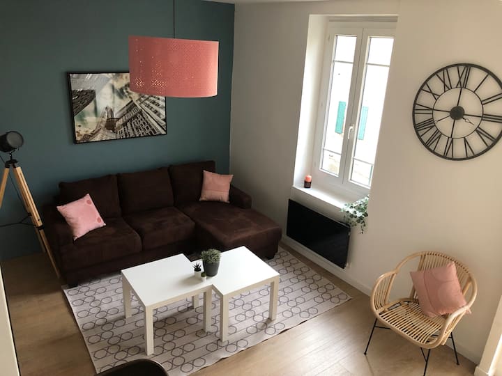 Bel Appartement En Centre-ville - Castres