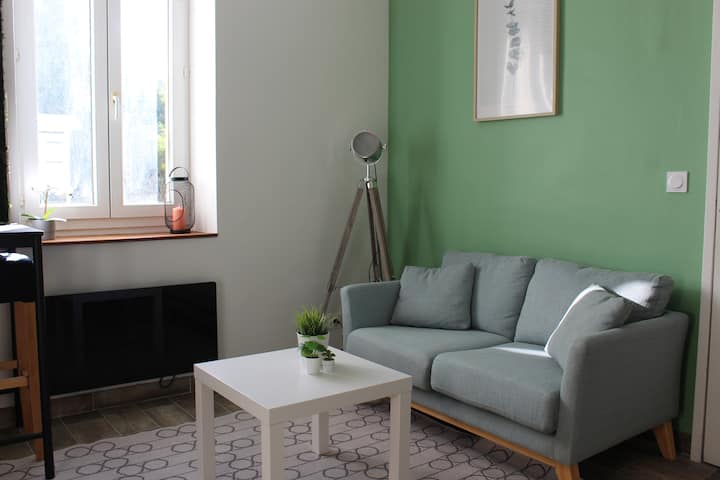 Joli Appartement En Centre-ville - Castres