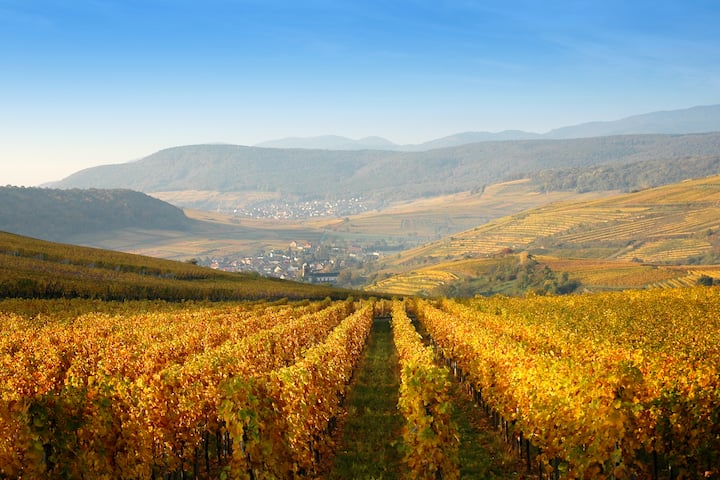 Chambre D'hôtes - Rouffach