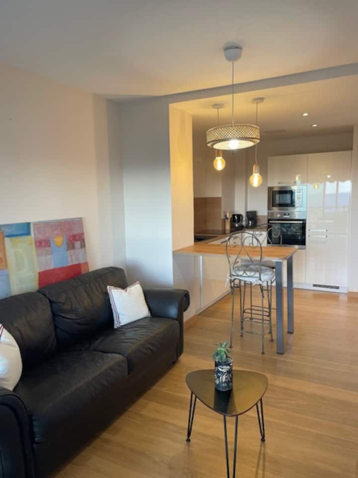 Appartement Climatisé à 4 Minutes Des Plages, - Mauguio