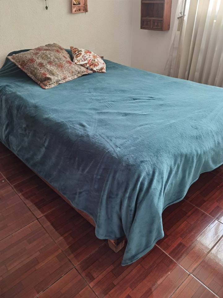 Habitación En Una Zona Privada - Celaya
