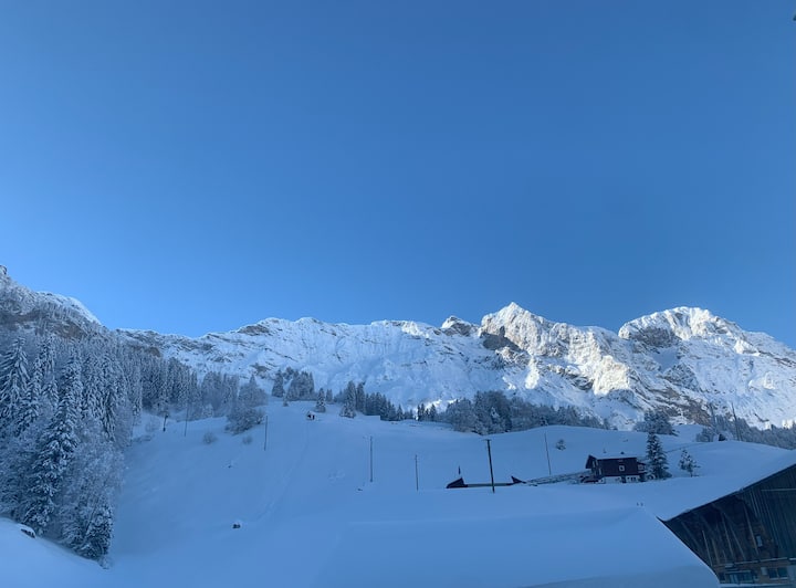 Fantastique Vue En Face Des Pistes! - Engelberg