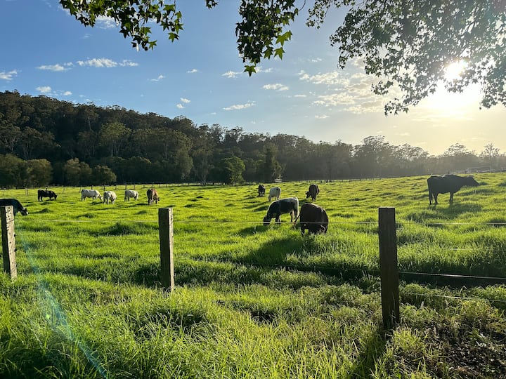Tiny Home Escape On A Farm - Central Coast
