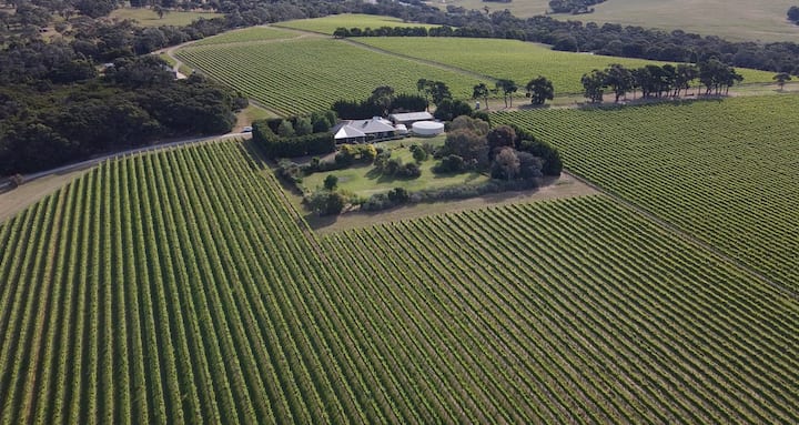 Vineyard Lane - Winery Escape! - Shire of Mornington Peninsula