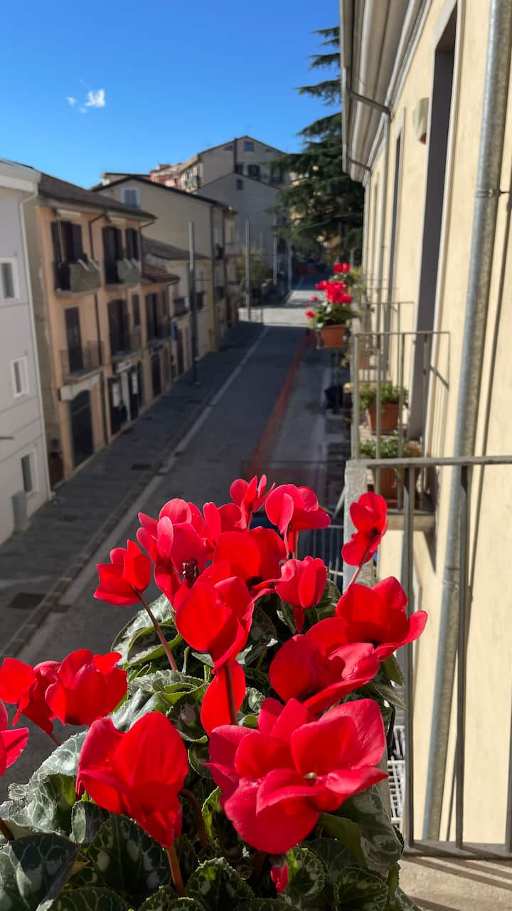 Palazzo Plantulli Suite - Avellino