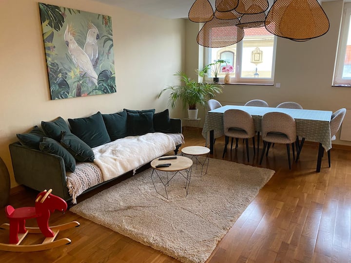 Appartement Strasbourg Spacieux - Bischheim
