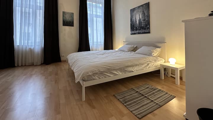 Big Cozy Room In Huge Central Apartment #2 - Riga