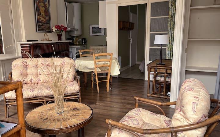 Appartement T2 Centre Historique - Salies-de-Béarn