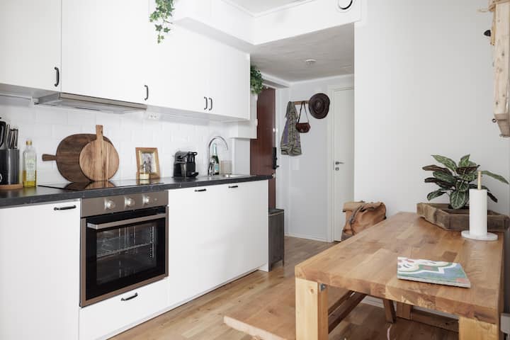 Lower-level Studio In Upscale Area - Stockholm