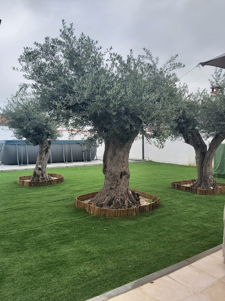 Casa Das Andorinhas - Granja
