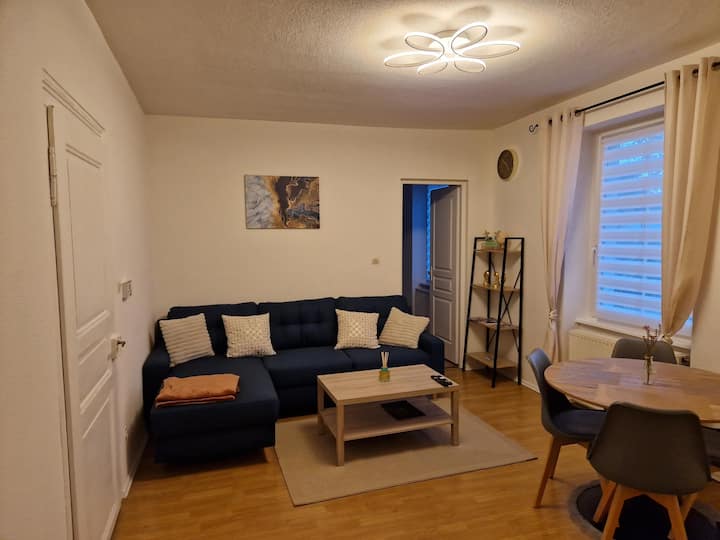 Appartement Chaleureux à Colmar - Colmar
