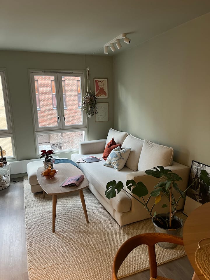 Sentrumsnær Romslig Leilighet - Oslo