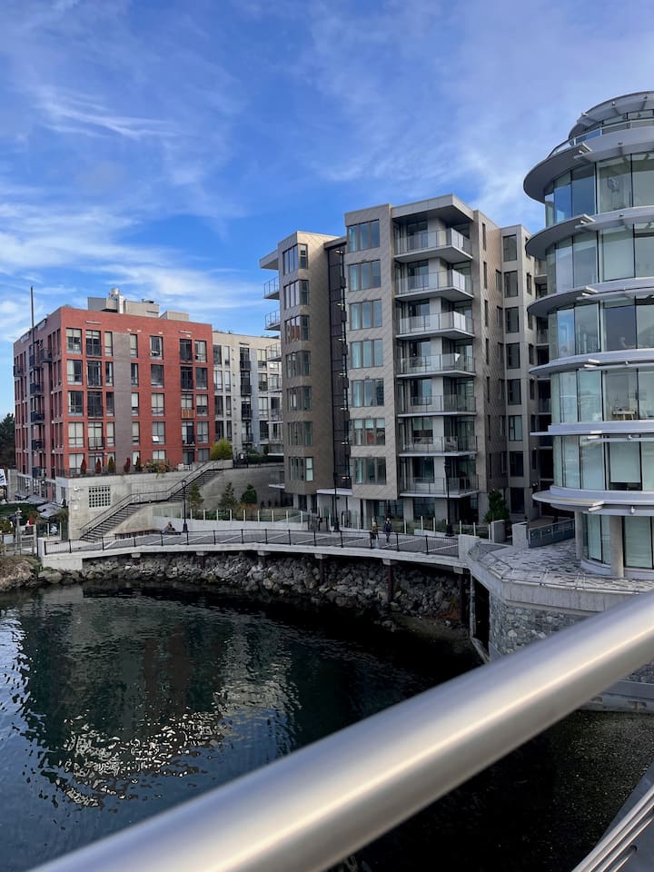 Vista Al Puente - Victoria