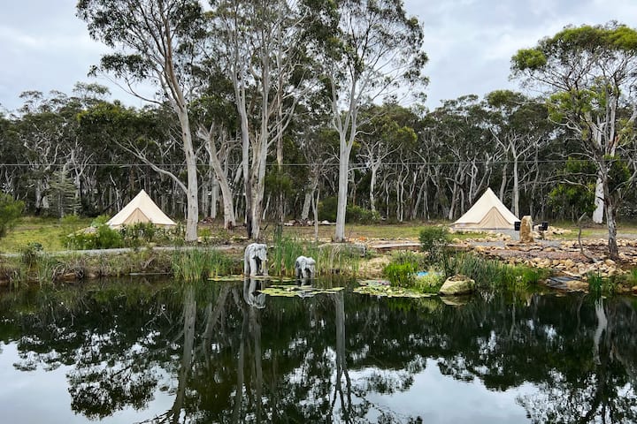 Luxury Glamping In Berrima (Wallaby Grove) - Southern Highlands
